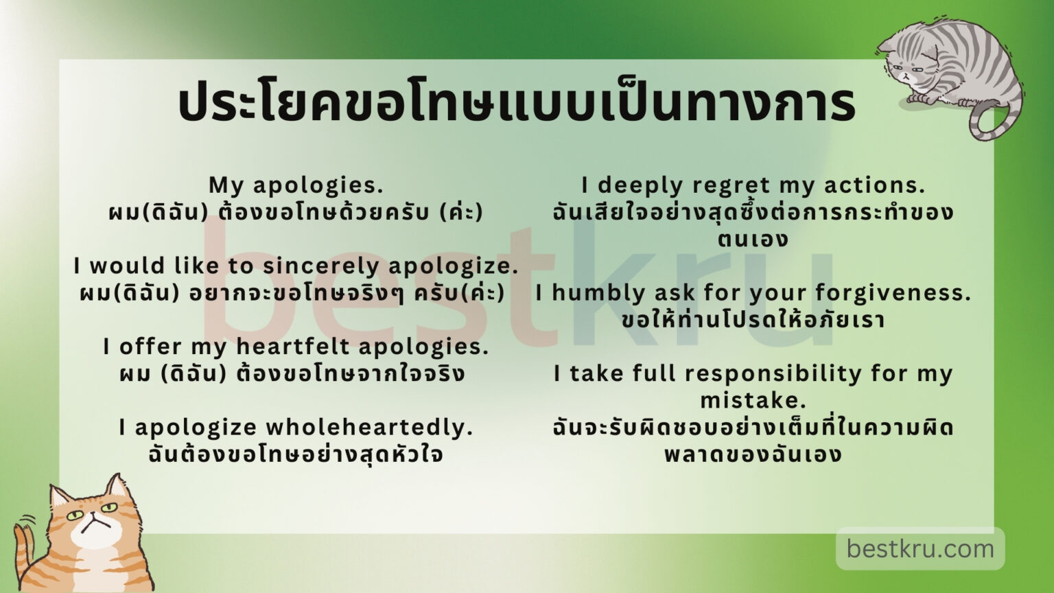ประโยคขอโทษภาษาอังกฤษ Sorry ฉันขอโทษ ขอโทษแบบสุภาพ แบบสั้น – BestKru