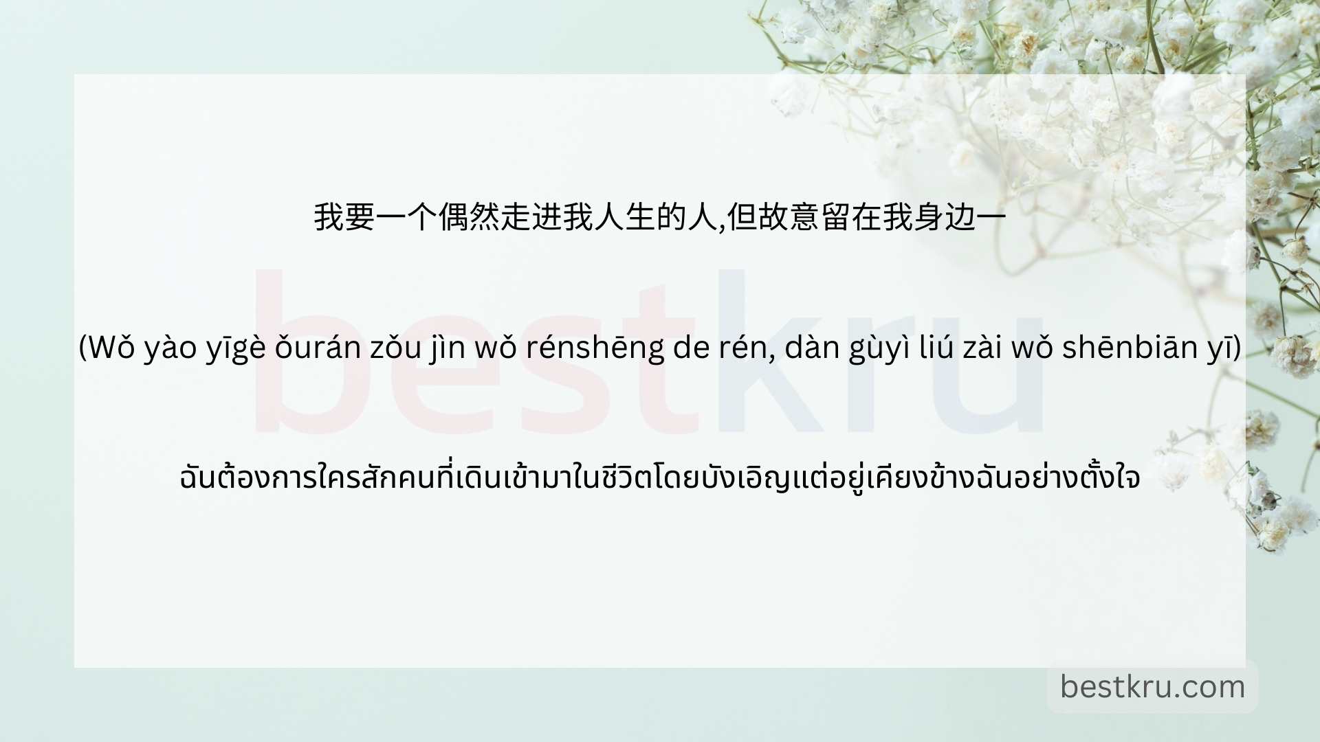 รวม 150 แคปชั่นภาษาจีนสั้นๆ ความหมายดีๆ โพสเฟส ไอจี – BestKru