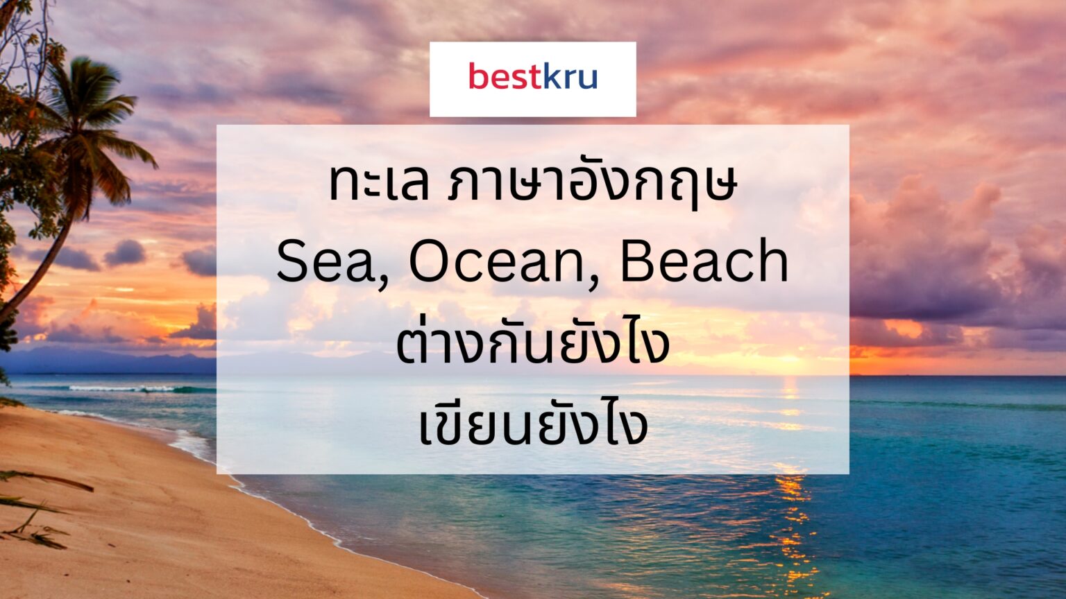 ประโยคขอโทษภาษาอังกฤษ Sorry ฉันขอโทษ ขอโทษแบบสุภาพ แบบสั้น – BestKru