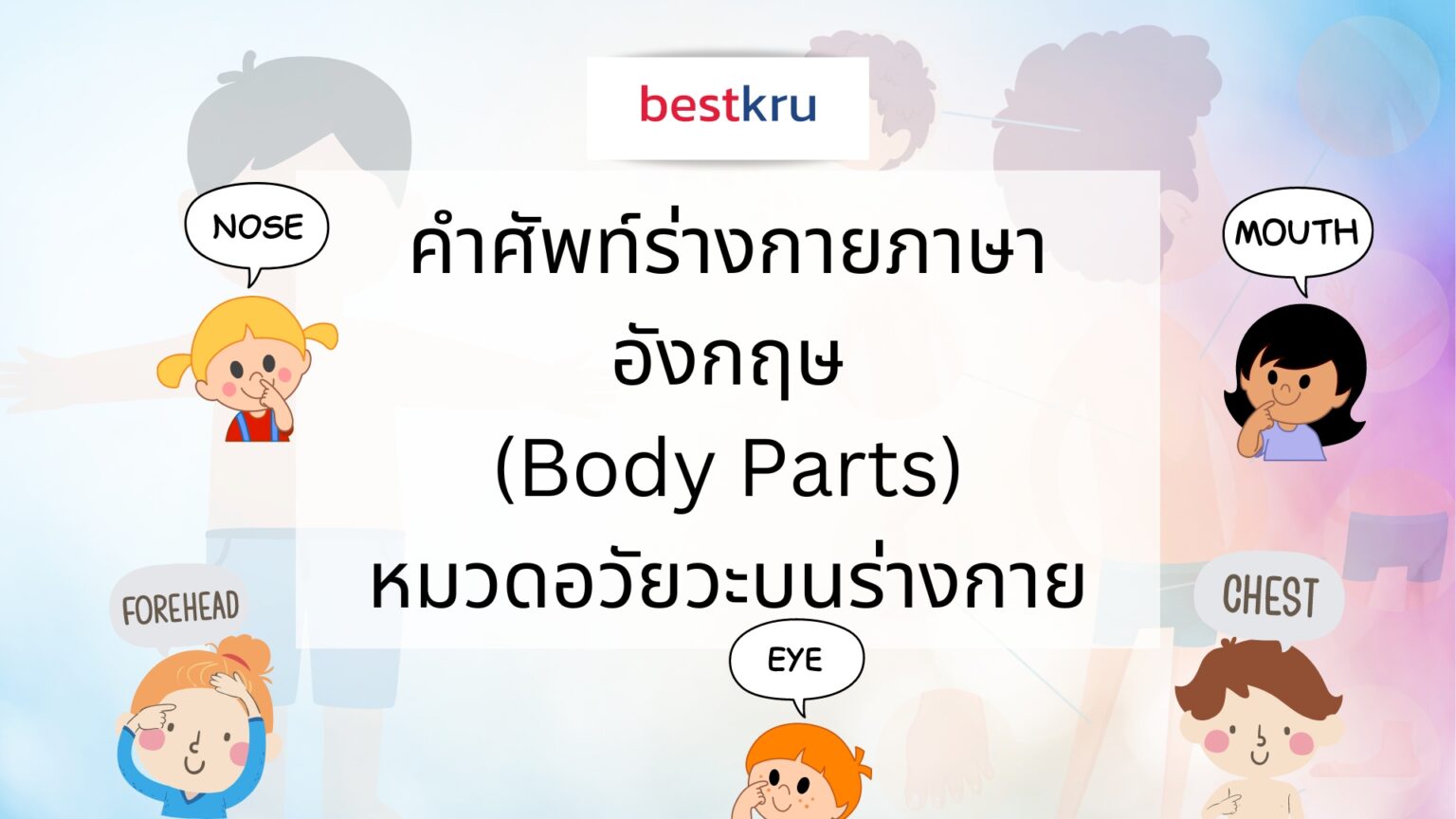คำศัพท์ผักภาษาอังกฤษมีอะไรบ้าง Vegetable รูปภาพผักพร้อมคำอ่าน – BestKru