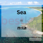 ทะเล ภาษาอังกฤษ Sea, Ocean, Beach ต่างกันยังไง เขียนยังไง – BestKru